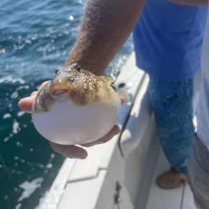 CAPTAIN AARON LOWMAN - Updated February 2025 - 53 Photos - 4110 127th ...