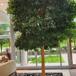 NEBU - Updated July 2025 - 203 Photos & 50 Reviews - 280 W Sheridian ...