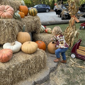PATCHEN PUMPKIN PATCH - Updated December 2025 - 108 Photos & 46 Reviews ...