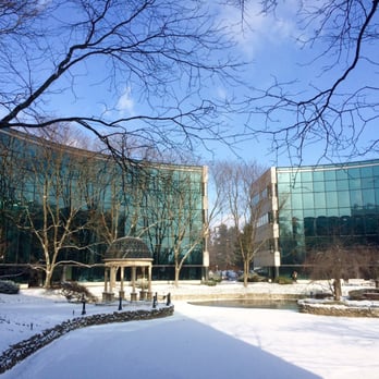 SALUS UNIVERSITY - Updated October 2025 - 8360 Old York Rd, Elkins Park ...