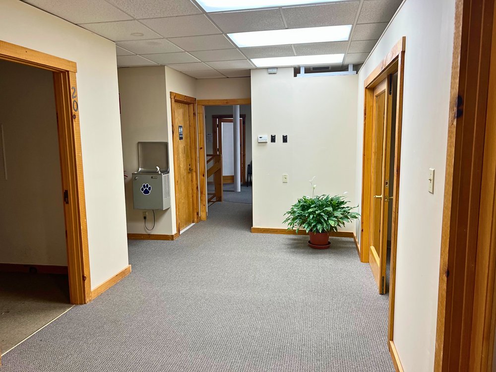 BRAY CHIROPRACTIC & WELLNESS, LLC - Updated May 2026 - 18 Photos - 99 ...