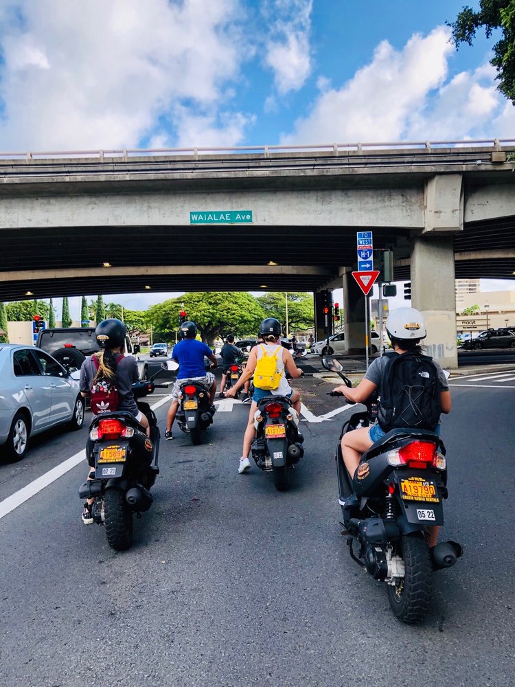 GOGO RENTAL - Updated July 2025 - 312 Photos & 341 Reviews - 1980 ...