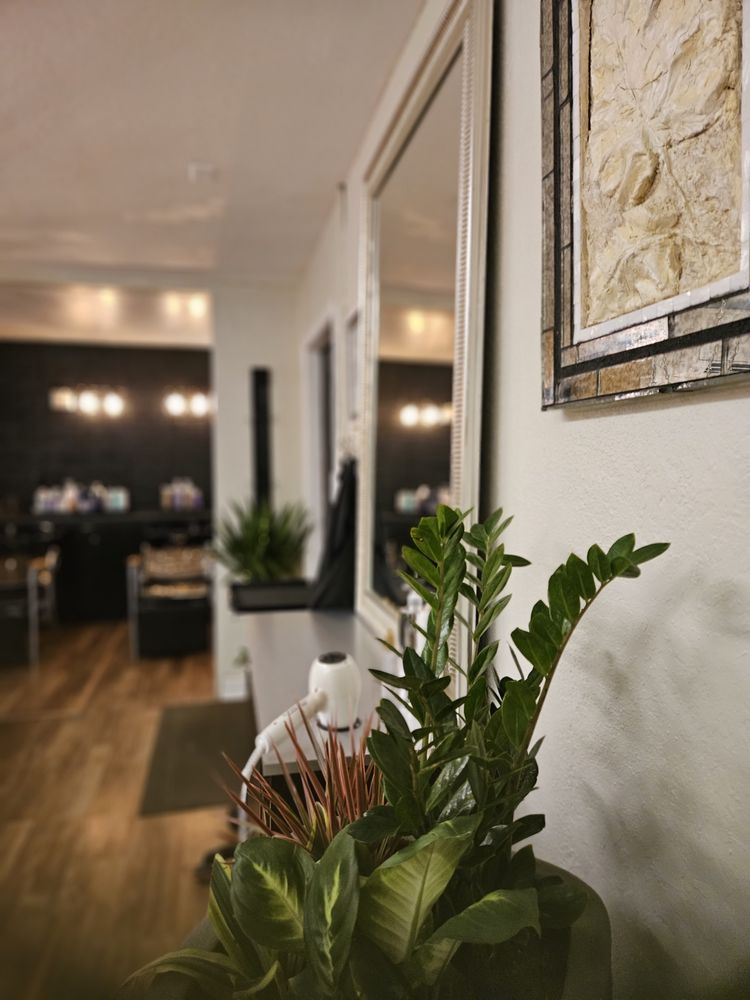 OLIVE BRANCH STUDIO - Updated August 2025 - 331 Rio Vista Dr, Auburn ...