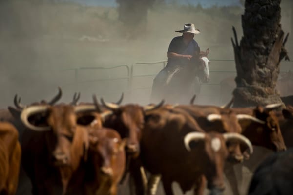 5 BAR BEEF - Updated October 2025 - 13 Photos & 10 Reviews - Silverado ...