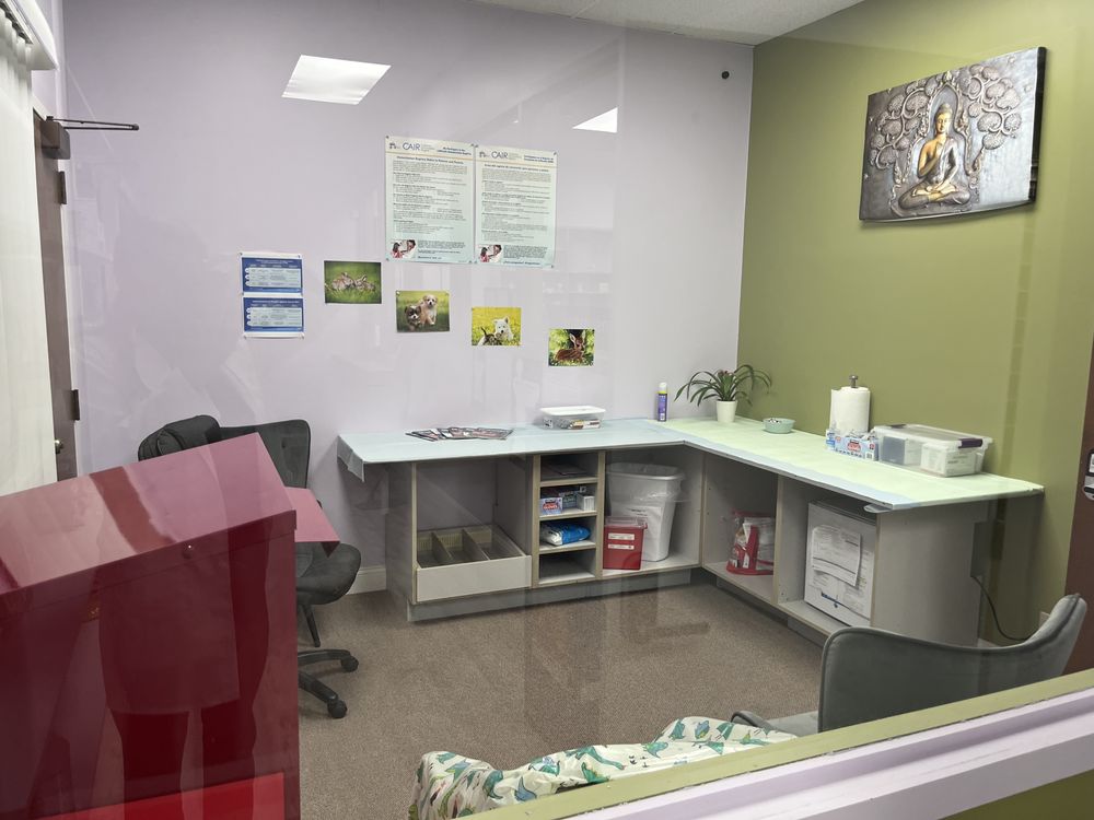 CUREALL PHARMACY - Updated May 2026 - 15 Photos - 1530 Meridian Ave ...