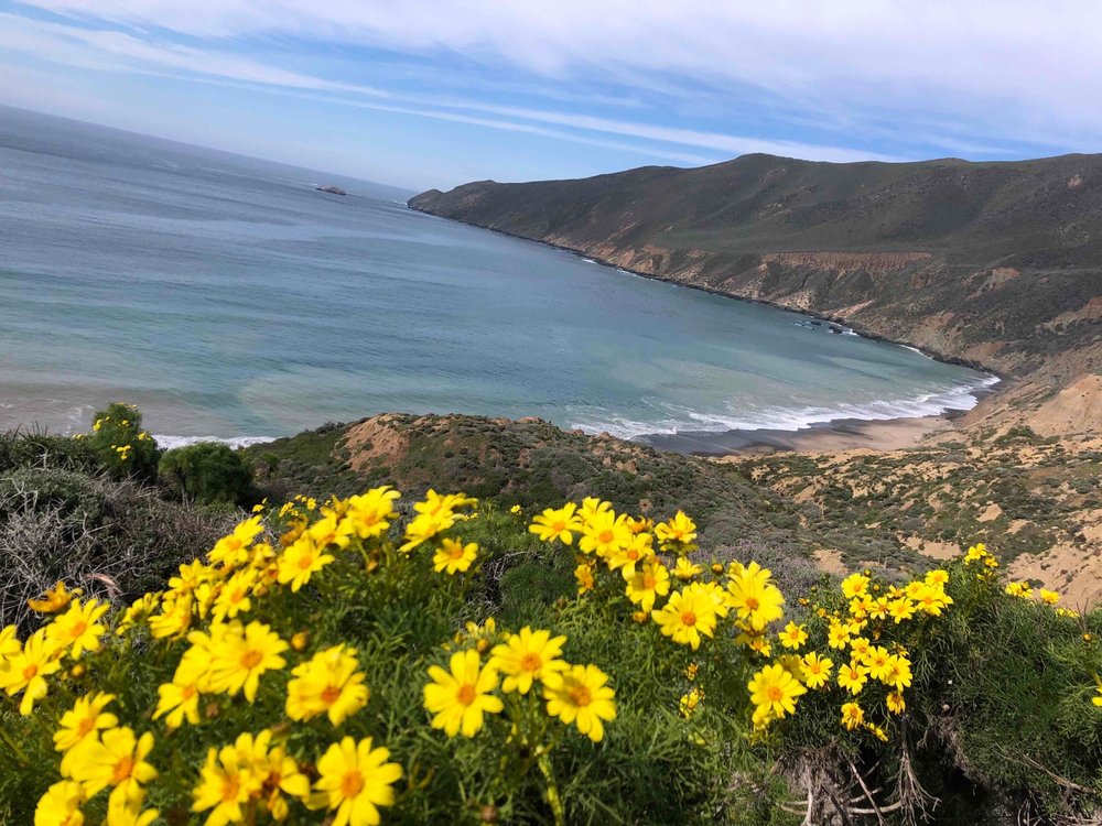 POINT SAL STATE BEACH - Updated September 2025 - 21 Photos - Brown Rd ...