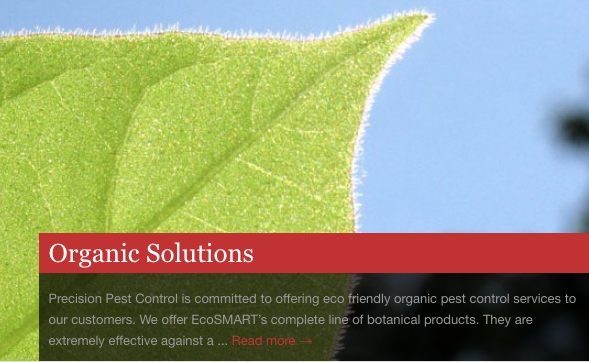 PRECISION PEST CONTROL - Updated October 2025 - 10 Photos & 22 Reviews ...