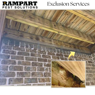 RAMPART PEST SOLUTIONS - Updated April 2026 - 10 Photos - Fairburn ...