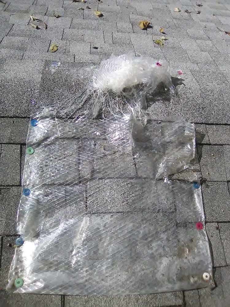 SUTTON’S - Updated September 2024 - 27 Photos - 1926 N Peoria Rd ...