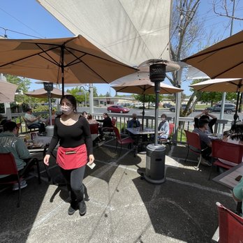 ZAINA’S BELLINI CAFE - Updated October 2025 - 246 Photos & 198 Reviews ...