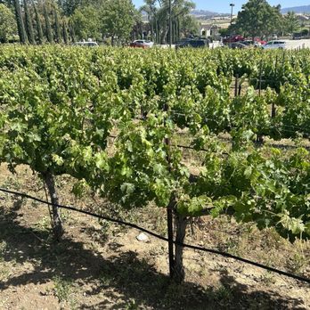 GARRÉ CAFE - Updated December 2025 - 312 Photos & 279 Reviews - 7986 ...