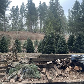 LITTLE BEAR TREE FARM - Updated November 2025 - 46 Photos & 29 Reviews ...