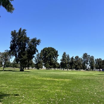 SKYLINKS AT BUCHANAN FIELDS GOLF COURSE - Updated January 2026 - 339 ...