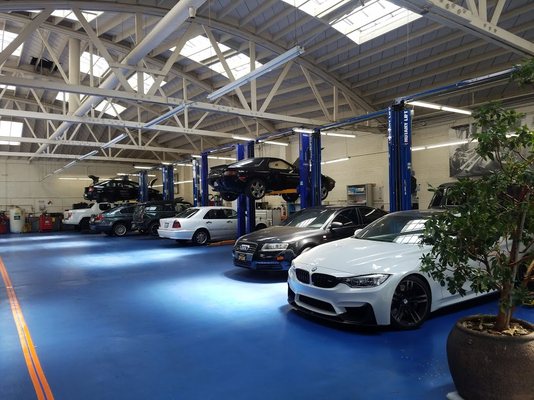 WISE AUTO TECH - Updated October 2025 - 36 Photos & 84 Reviews - 2323 ...