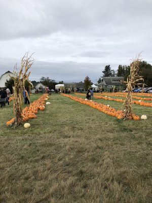 DOUBLE R FARMS PUMPKIN PATCH - Updated October 2024 - 64 Photos & 14 ...