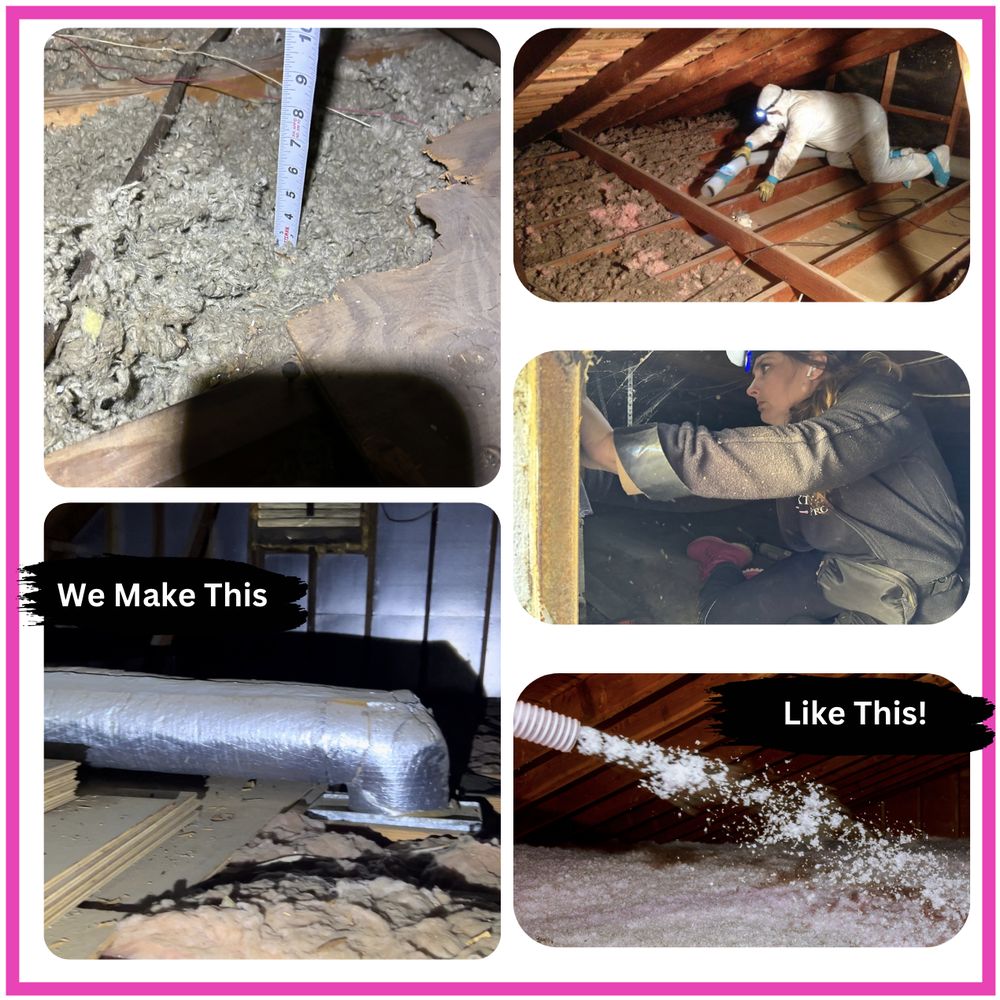 EXTRACTION PROS - Updated July 2025 - 804 Connolly Av, Foley, Alabama ...