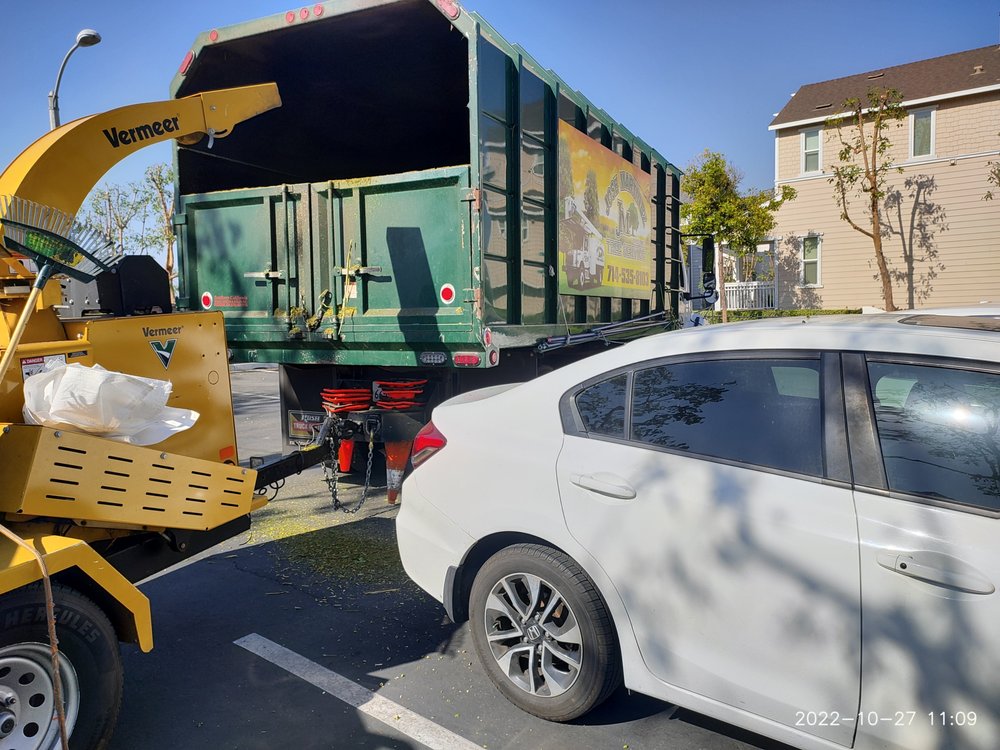 JOSE MARTINEZ TREE SERVICE - Updated January 2026 - 63 Photos & 73 ...