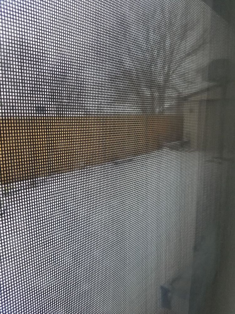 GOOD DAY CHARTERS - Updated October 2025 - 19 Photos & 18 Reviews ...