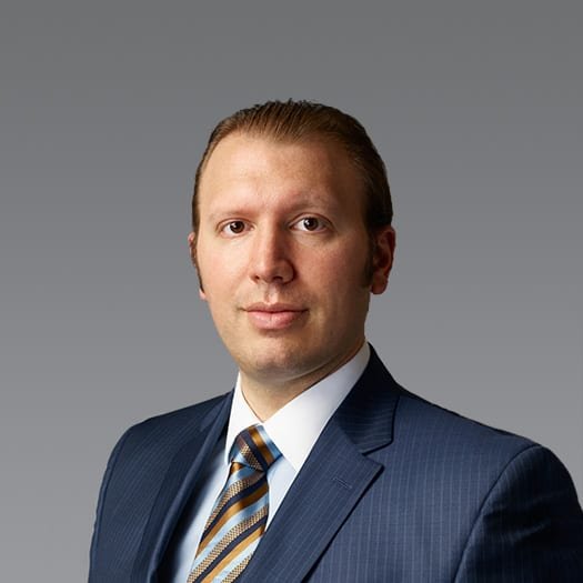 PETER G. PASSIAS, M.D. FAAOS - 761 Merrick Ave, Westbury, New York ...