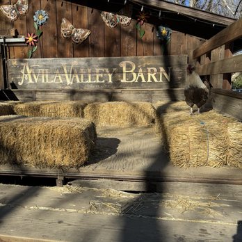 AVILA VALLEY BARN - Updated April 2025 - 2877 Photos & 950 Reviews ...