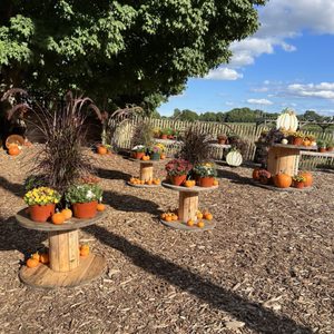 MARINI FARM - Updated June 2025 - 67 Photos & 47 Reviews - 259 ...