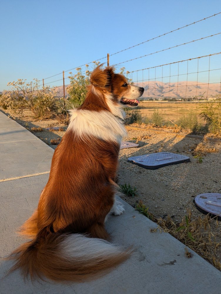 PACIFIC COMMONS LINEAR PARK - Updated October 2025 - 10 Photos - Nobel ...