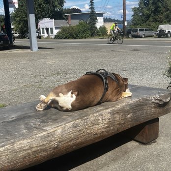 BURTON COFFEE STAND - Updated December 2025 - 18 Photos & 38 Reviews ...