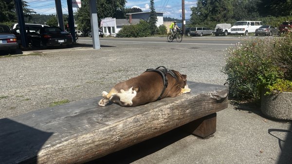 BURTON COFFEE STAND - Updated December 2025 - 18 Photos & 38 Reviews ...