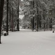 HON-DAH RV PARK - 26 Photos & 15 Reviews - Highway 73 & 260, Pinetop ...