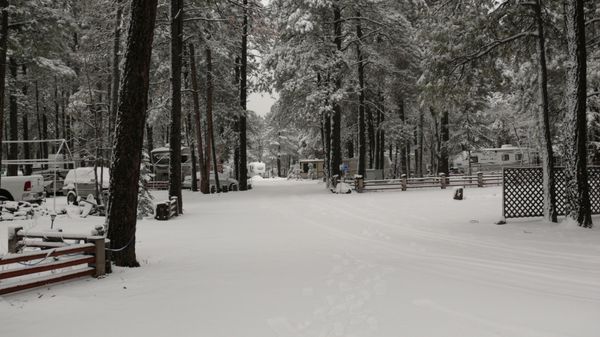 HON-DAH RV PARK - 26 Photos & 17 Reviews - Highway 73 & 260, Pinetop ...