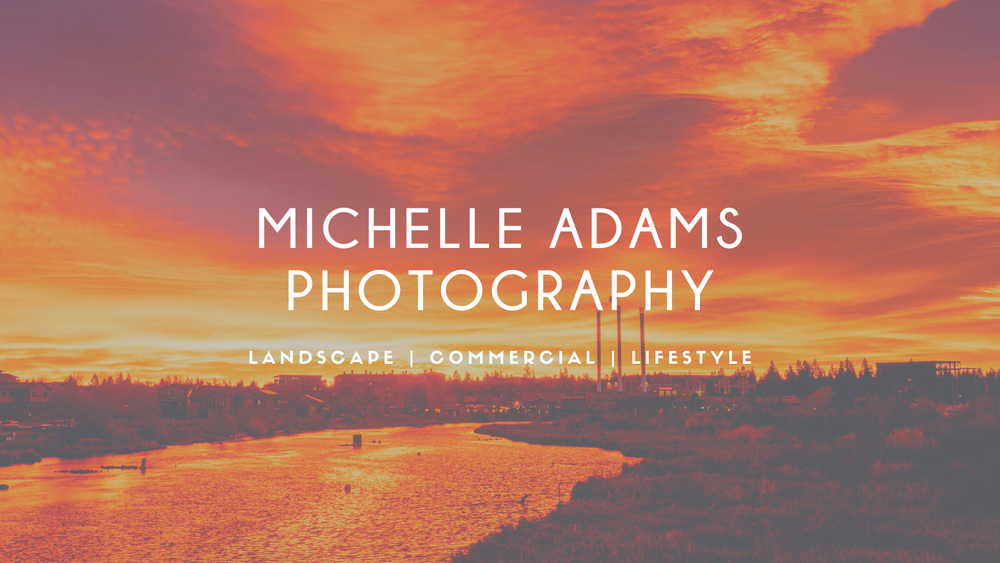 MICHELLE ADAMS PHOTOGRAPHY - Updated August 2024 - Request a Quote ...