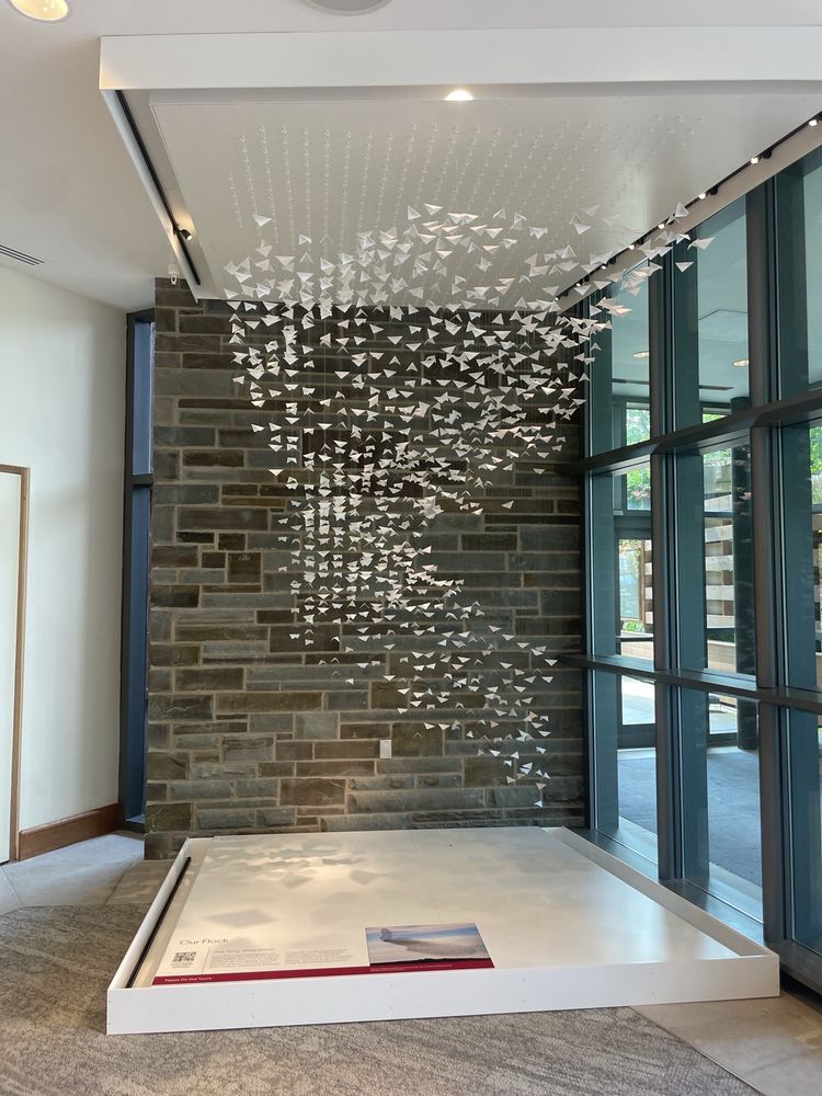 CORNELL UNIVERSITY ORNITHOLOGY LAB - Updated July 2025 - 103 Photos ...