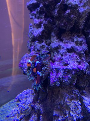 SEACOAST SCIENCE CENTER - 35 Photos & 36 Reviews - 570 Ocean Blvd, Rye ...