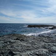 BRENTON POINT STATE PARK - 250 Photos & 76 Reviews - Ocean Dr, Newport ...