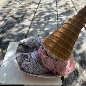 SNOW GOOSE PRODUCE - 384 Photos & 187 Reviews - 15170 Fir Island Rd ...