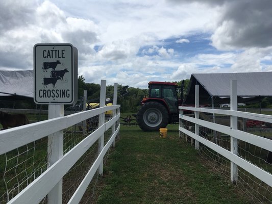 CALHOUN’S FARM STAND - Updated December 2025 - 10 Reviews - 441 Grange ...