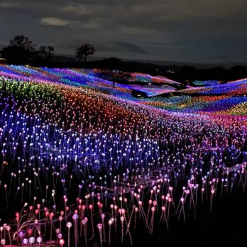 SENSORIO - Updated May 2024 - 2411 Photos & 512 Reviews - 4380 Hwy 46 E ...