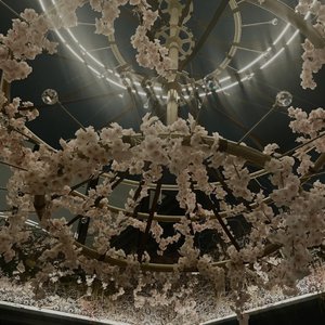 CIEL SOCIAL CLUB - 73 Photos & 41 Reviews - 601 K St NW, Washington, DC ...