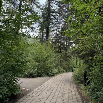 SILVER FALLS STATE PARK - Updated October 2025 - 1651 Photos & 352 ...