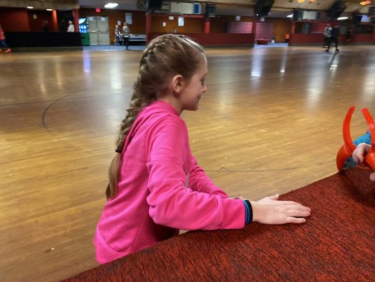 SPRINGFIELD LAKE ROLLER RINK - Updated January 2026 - 18 Reviews - 1220 ...