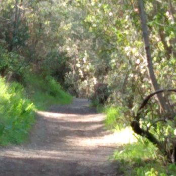 EDGEWOOD PARK & NATURAL PRESERVE - Updated January 2026 - 656 Photos ...