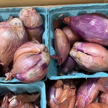 WHOLE FOODS MARKET - Updated August 2025 - 675 Photos & 437 Reviews ...