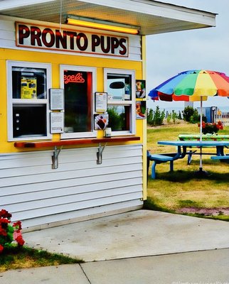 TAWAS BAY PRONTO PUP - Updated July 2025 - 44 Photos & 16 Reviews - 113 ...