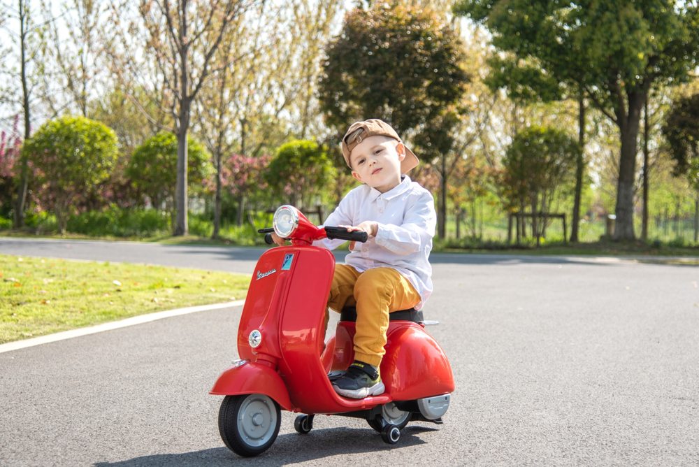 FREDDO TOYS - Updated October 2024 - 19 Photos - 8815 Avenue du Parc ...