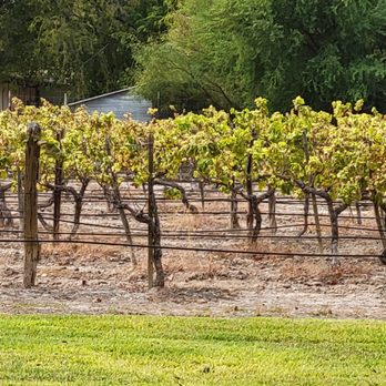 VAL VERDE WINERY - Updated November 2025 - 67 Photos & 32 Reviews - 100 ...