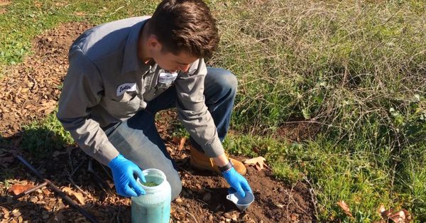 PRO PACIFIC PEST CONTROL - Updated December 2025 - 52 Photos & 293 ...