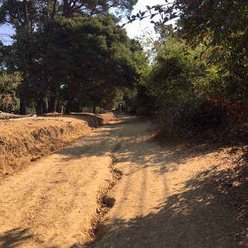 BERKELEY FIRE TRAILS - Updated September 2025 - 459 Photos & 109 ...
