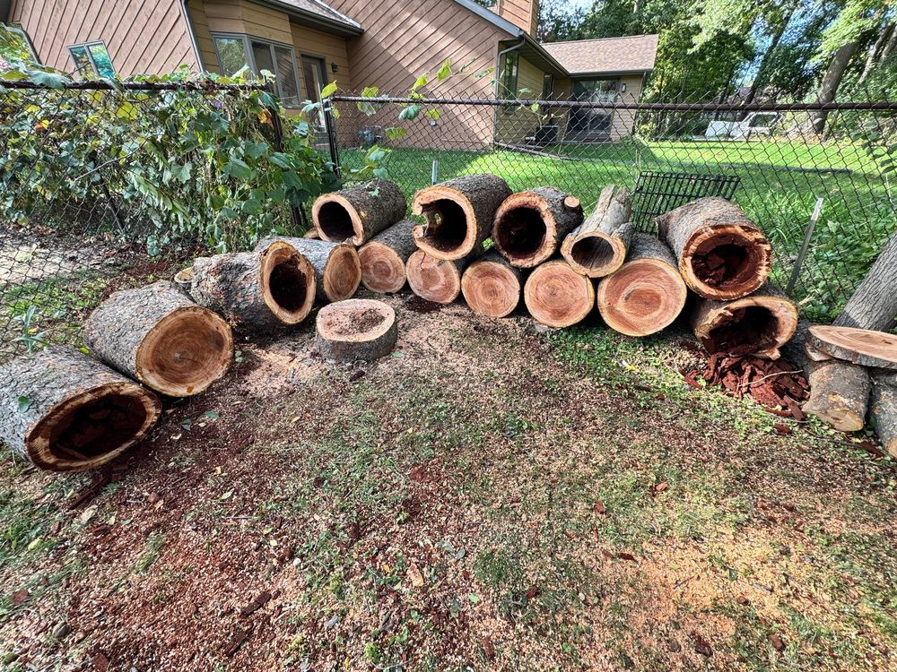 NELSON TREE SERVICES - Updated November 2024 - 11 Photos - Beloit ...