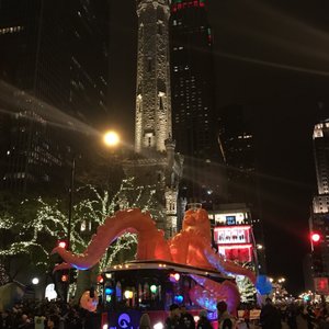 THE MAGNIFICENT MILE LIGHTS FESTIVAL - 45 Photos & 20 Reviews - 625 N ...