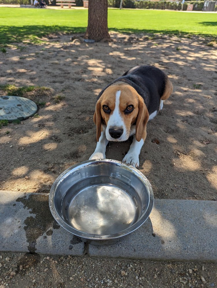 VILA BORBA PARK - Updated December 2025 - 186 Photos & 84 Reviews ...